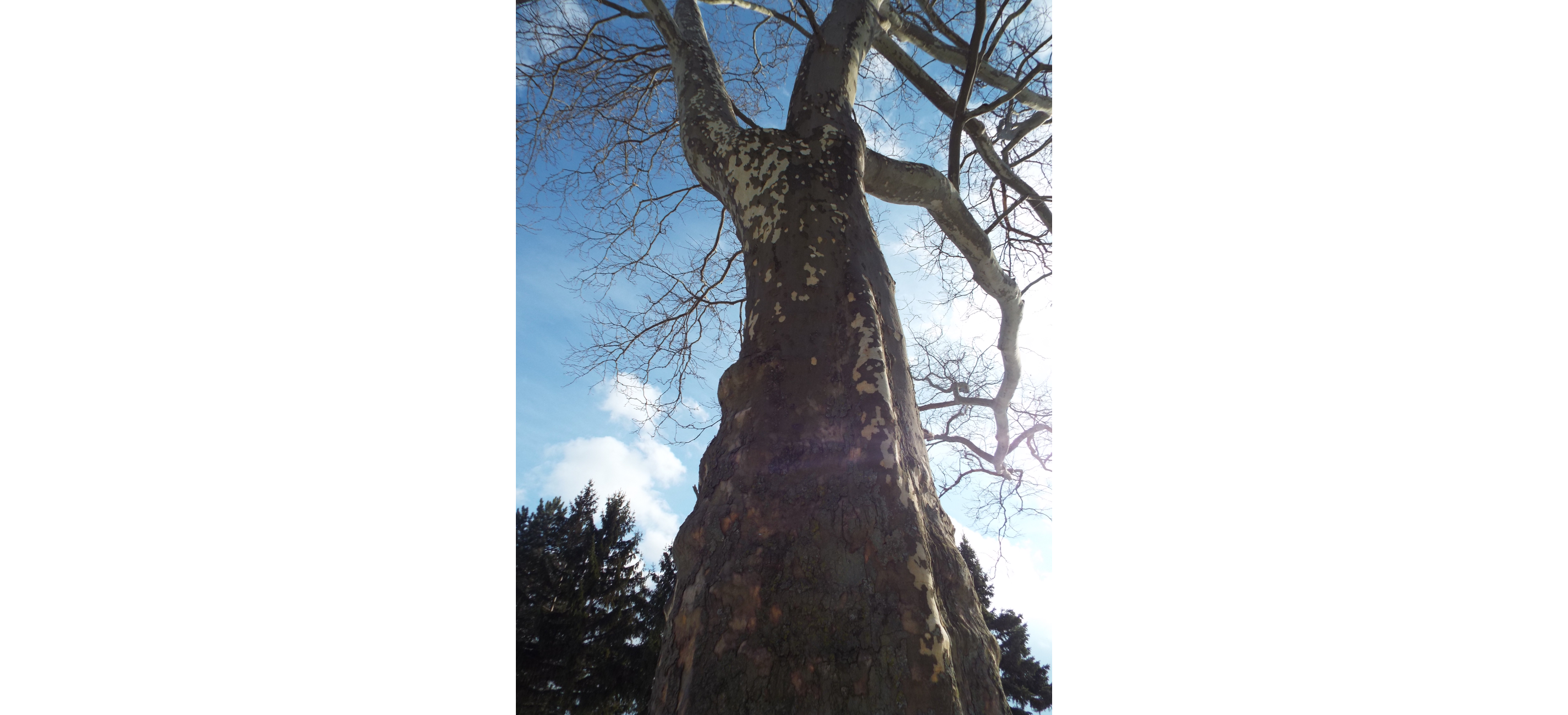 “Why I Keep The Essence Of Euclid Beach Park Alive” (Poem) – Kevin's ...